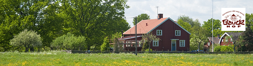 Bauckhof glutenfreie Produkte & Bio Naturkost günstig online kaufen ...