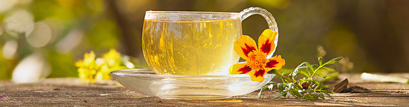 Gesunder Bio Tee viele Sorten: Kräutertee, Matcha, Grüner Tee - PureNature